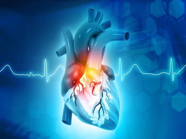 Cutting-edge Cardio AI diagnostic precision and accuracy
